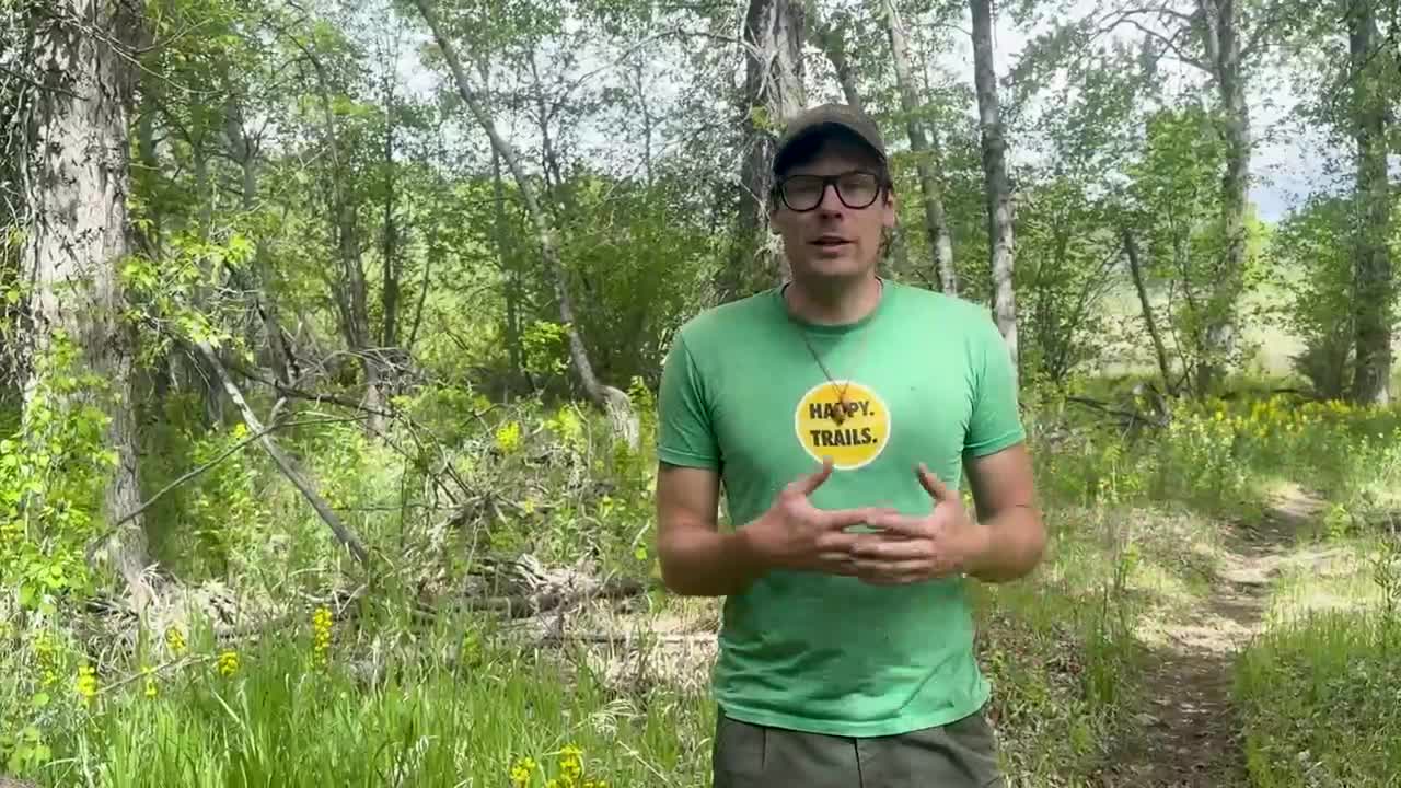 Trail crews work to improve access at Prickly Pear Park