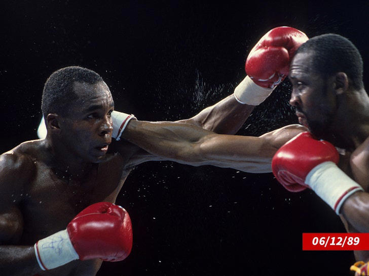 Police called to Sugar Ray Leonard's home, son arrested for restraining ...