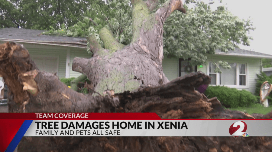 Xenia homeowner thankful damage from storms limited to her home