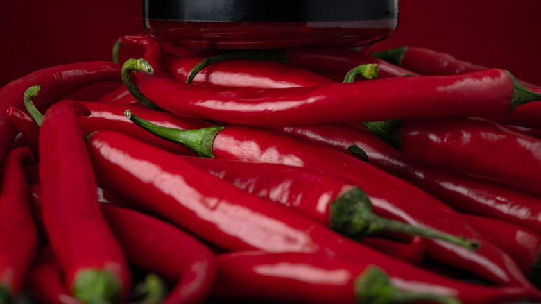 What is harissa?