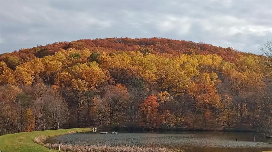 Albemarle Park reopening lake to swimming after harmful algae bloom