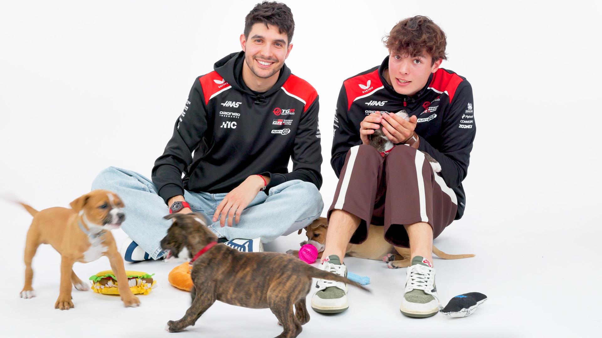 F1 drivers Ollie Bearman and Esteban Ocon: The puppy interview