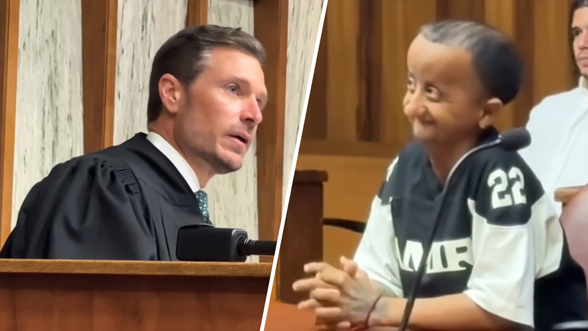 Influencer 'Baby Alien' also avoids jail in alleged gator shooting ...