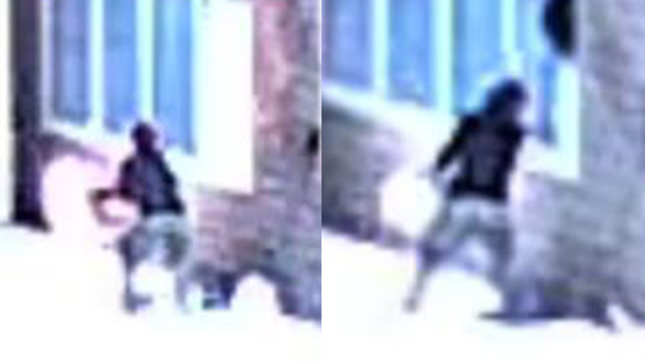 Arizona man charged with setting fire to Surprise ICE building ...