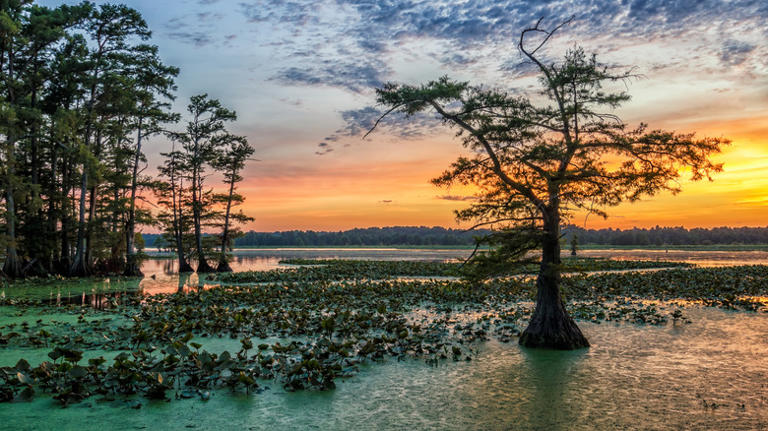 A mystical Tennessee town right on the Mississippi River boasts ...