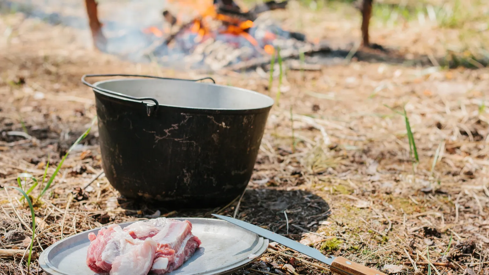 Why the Yellowstone ranch lifestyle is fueling fresh curiosity around ...