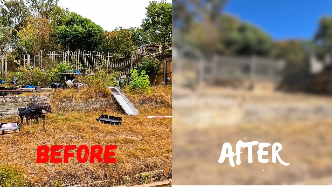 Hoarders nightmare cleared for desperate homeowner!