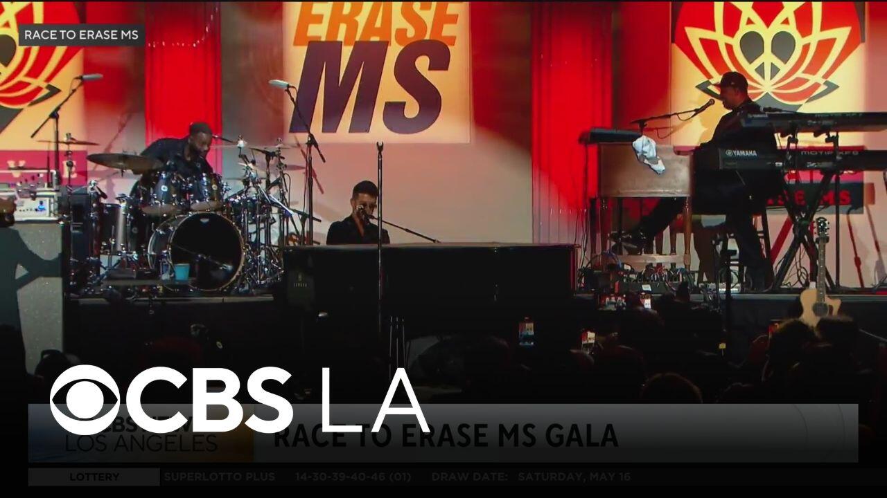 A preview of Race to Erase MS gala