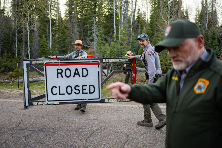 Out of the ashes, the Grand Canyon’s North Rim reopens