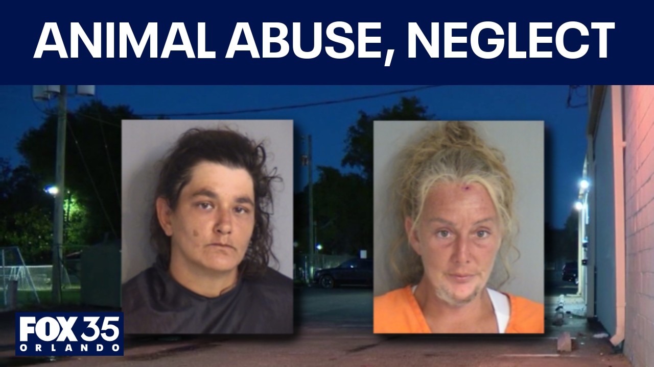 2 women arrested after 24 dogs found, covered in poop, living in car