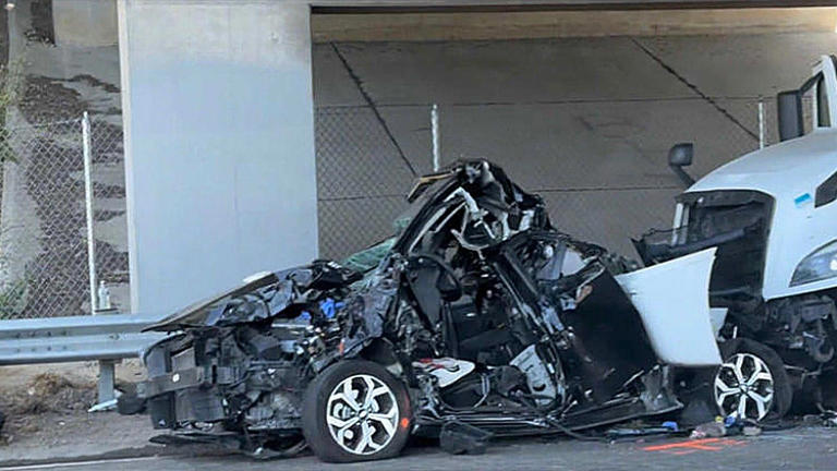 Illegal immigrant truck driver from India arrested in deadly California ...