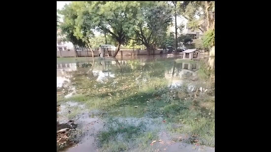 Gurugram: Ardee City residents accuse MCG of water wastage amid supply ...