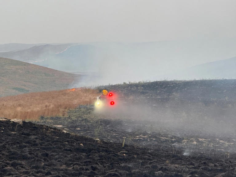Out-of-state firefighters come to the aid of Kansas crews during wildfires