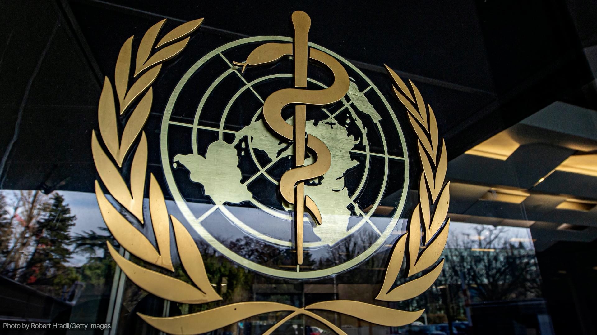 Le risque de propagation du virus Ebola est faible à l'échelle ...