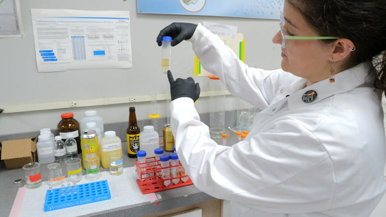 State regulators freeze testing at major Minnesota marijuana lab