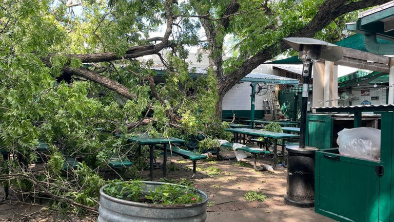 Storm cleanup continues after Central Texas thunderstorms topple trees ...