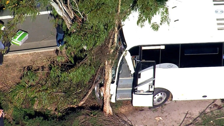 Bus carrying school students crashes into tree in Western Sydney's ...