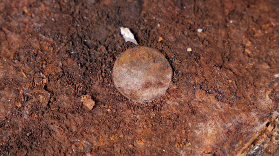 19th century coins found under HMS Victory masts