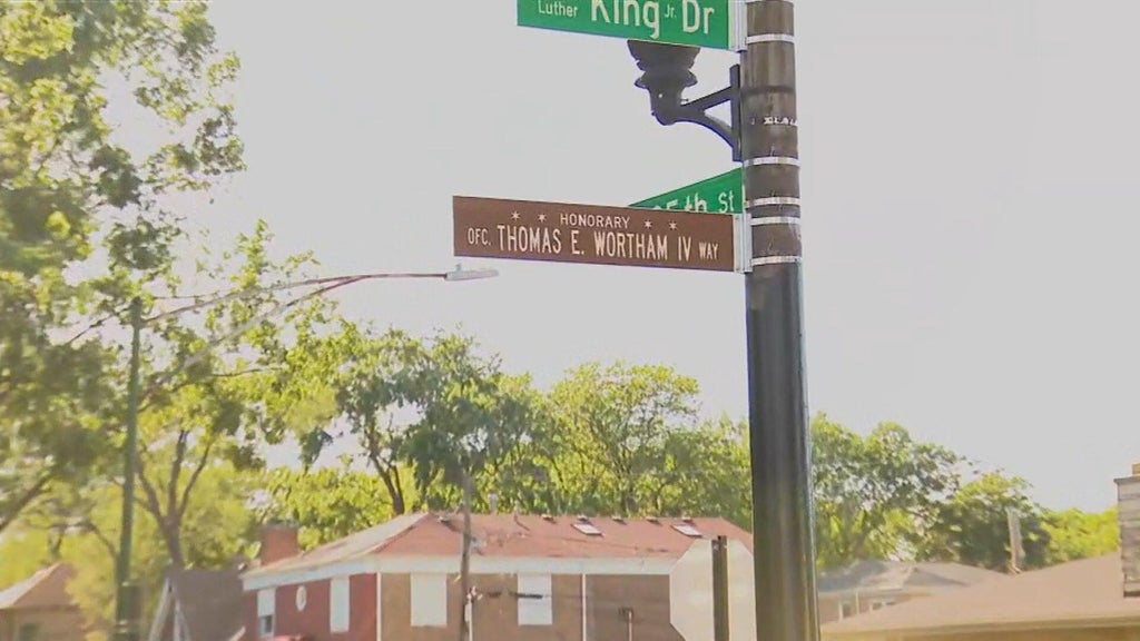 Chatham street named in honor of fallen Chicago police officer Thomas ...
