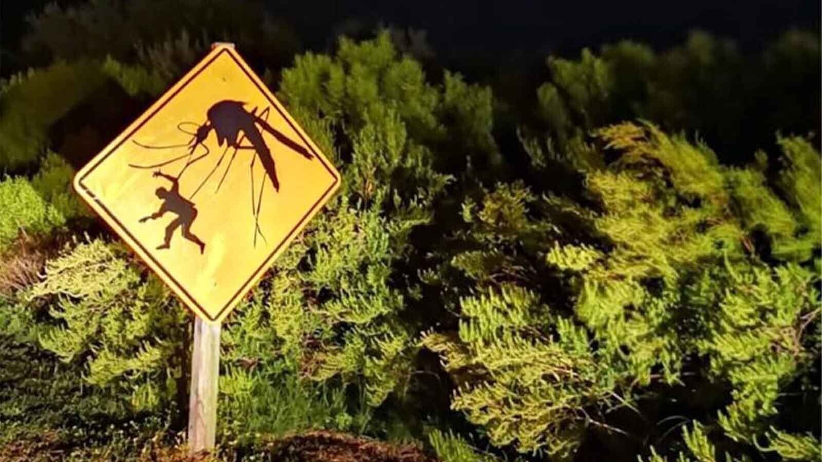 17 traffic signs that make little to no sense