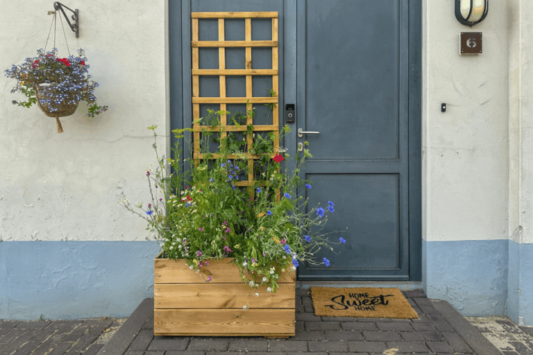 Prevents nosy neighbours from peeking in: Aldi's £22.99 planter with ...