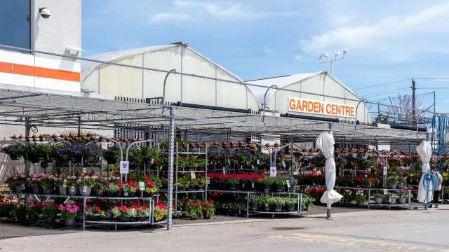 Canada's updated plant hardiness map means more tropicals for the ...