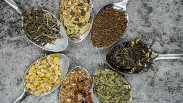 International Tea Day 2026: India’s best tea rooms to sip & stay
