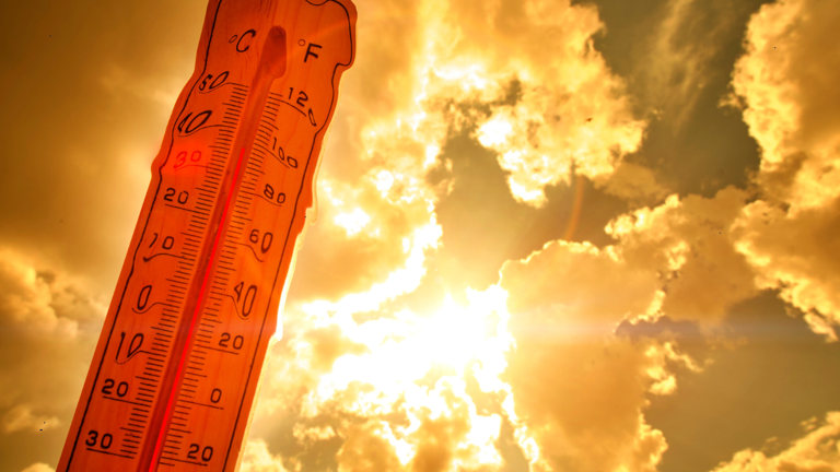 Heatwave: Why elderly cardiac patients are more vulnerable to heatstroke