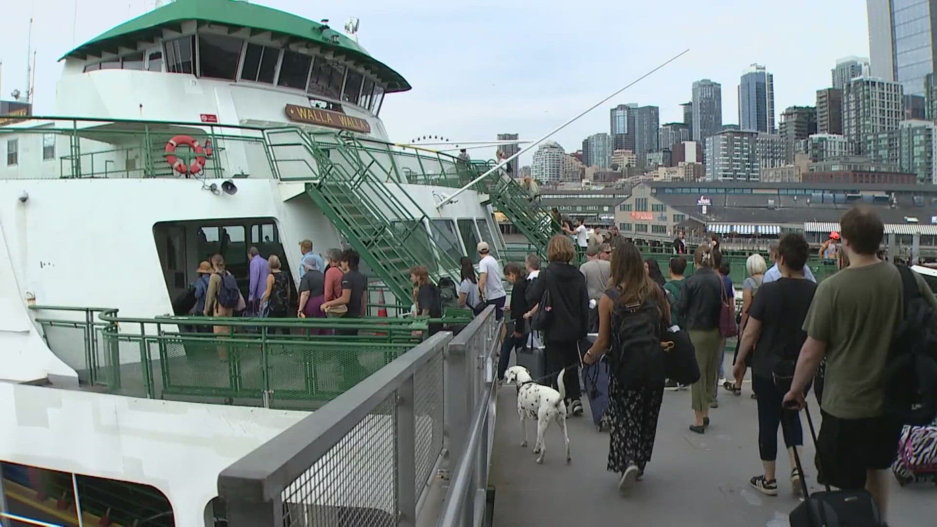 Leashed pets allowed inside Washington State Ferry cabins this summer