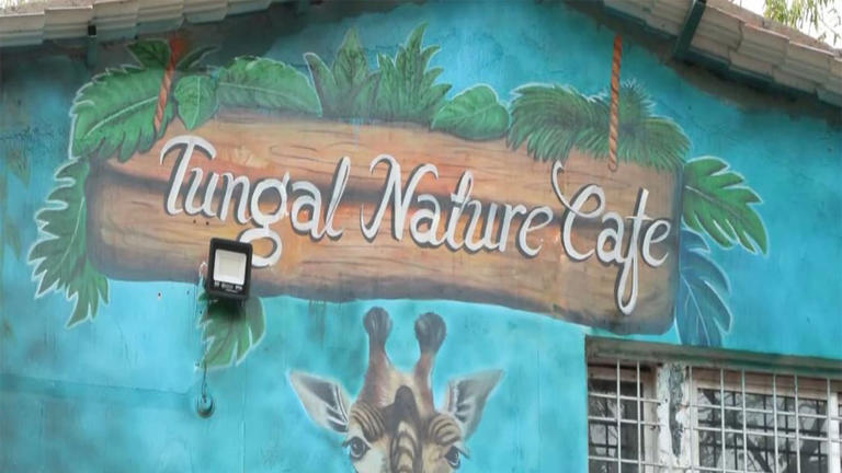 Chhattisgarh: Surrendered women Naxals find new life at forest cafe
