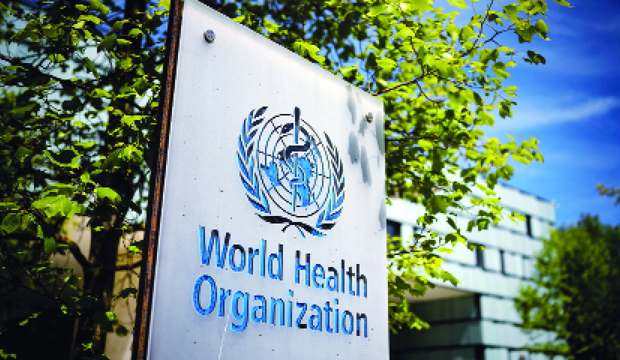 Risk of Ebola spread high regionally but low globally: WHO
