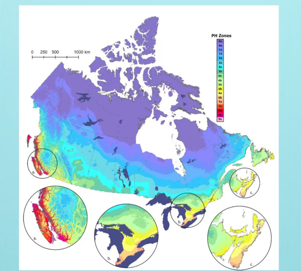 Canada's updated plant hardiness map means more tropicals for the ...