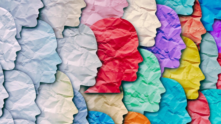 What is sociology study for? Definition, purpose and types