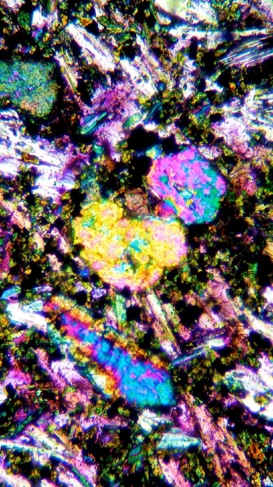 Volcanic Rock Under a Microscope Revealed Somethin