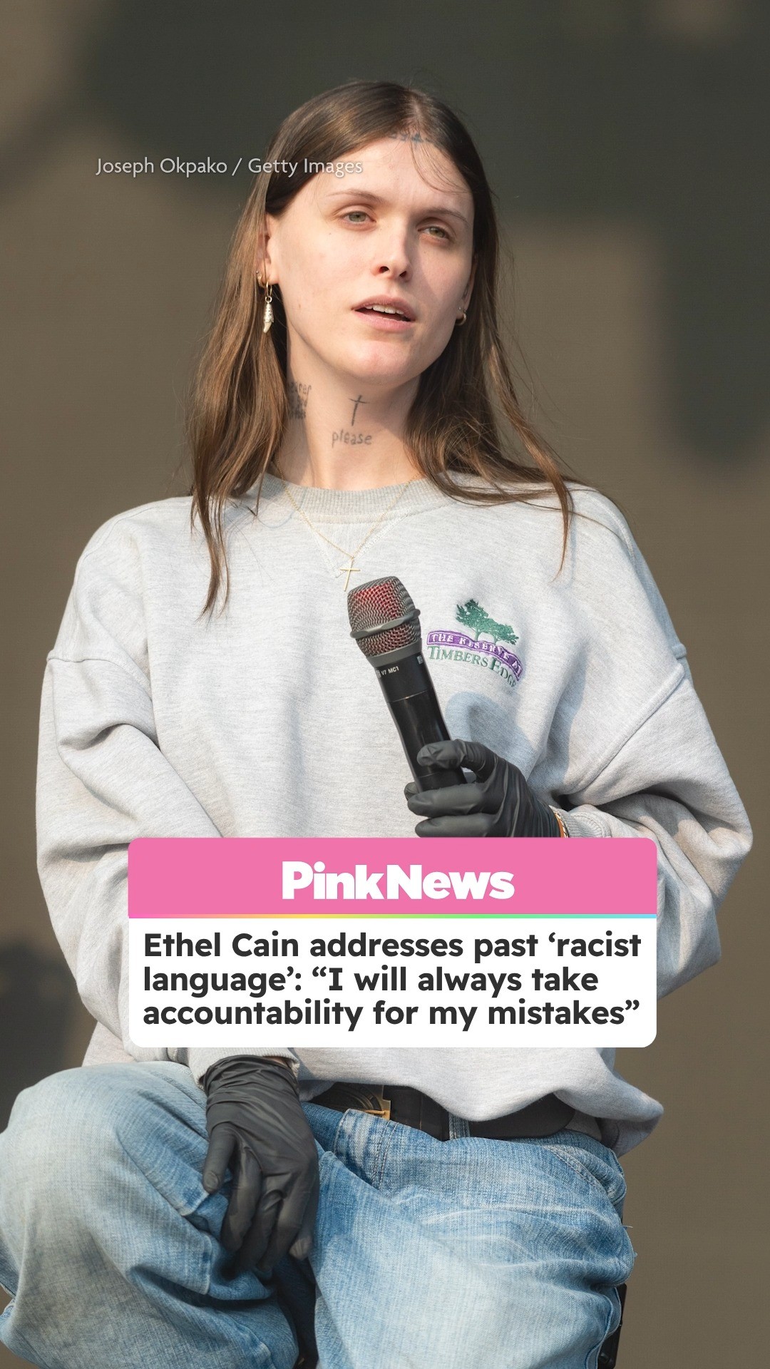 Ethel Cain addresses past racist language and "build that wall" posts ...