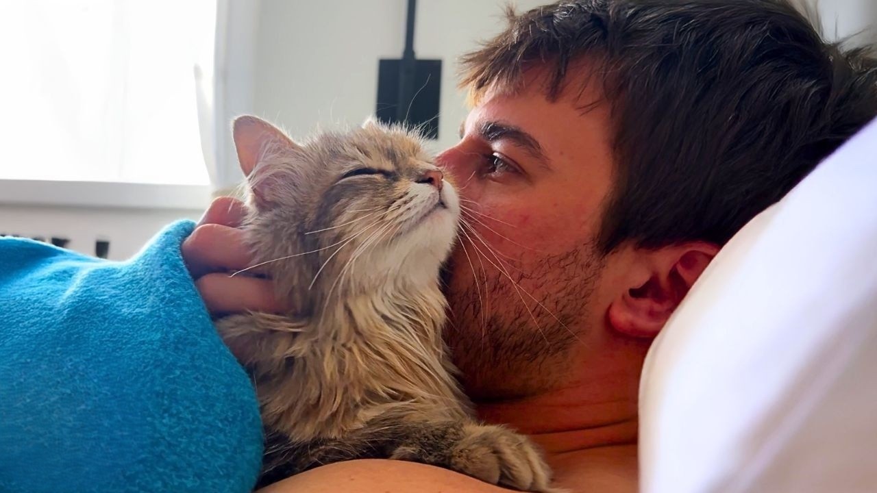 Guy never wanted a cat in the house - until she chose him as her ...