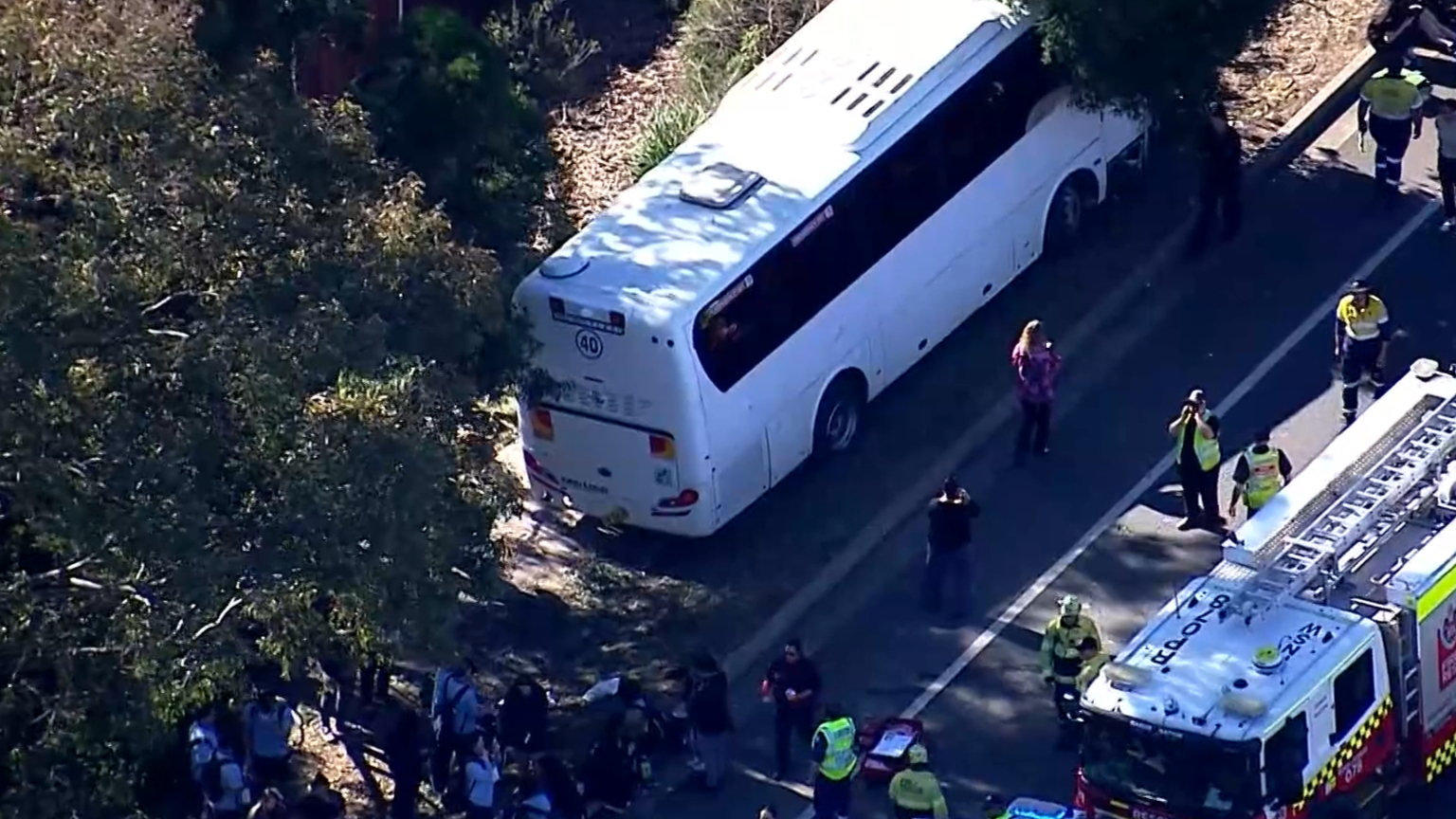 Bus carrying 40 students crashes into tree in Sydney's west