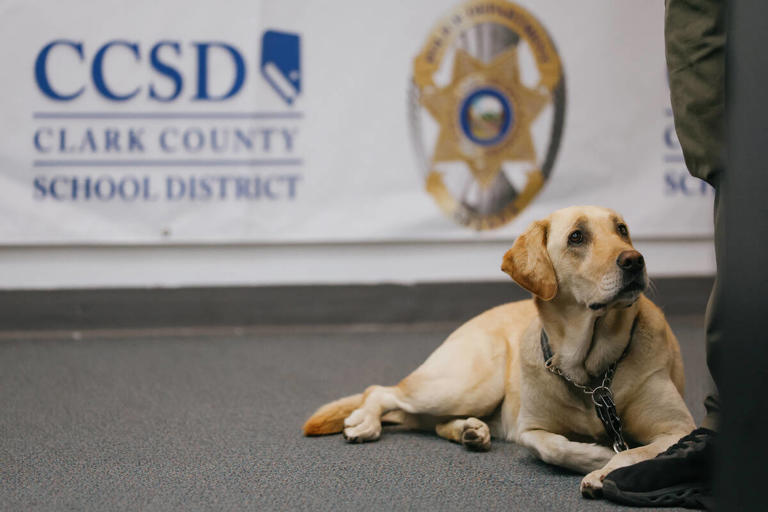 Police increase presence around campuses as last school day nears in ...