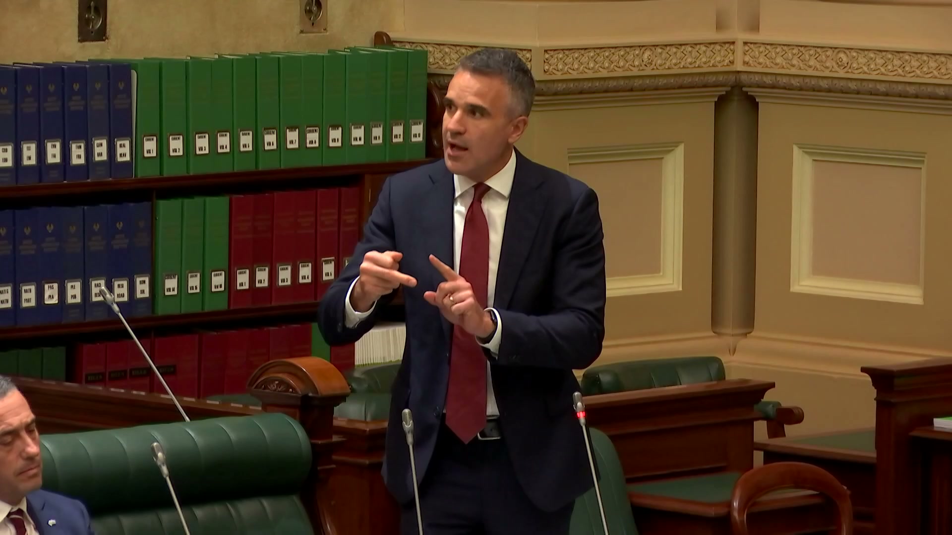 Third attempt to change SA's abortion laws since 2024 goes before state ...