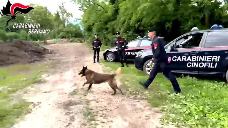 Cani molecolari al santuario ma non c’è traccia di Pamela