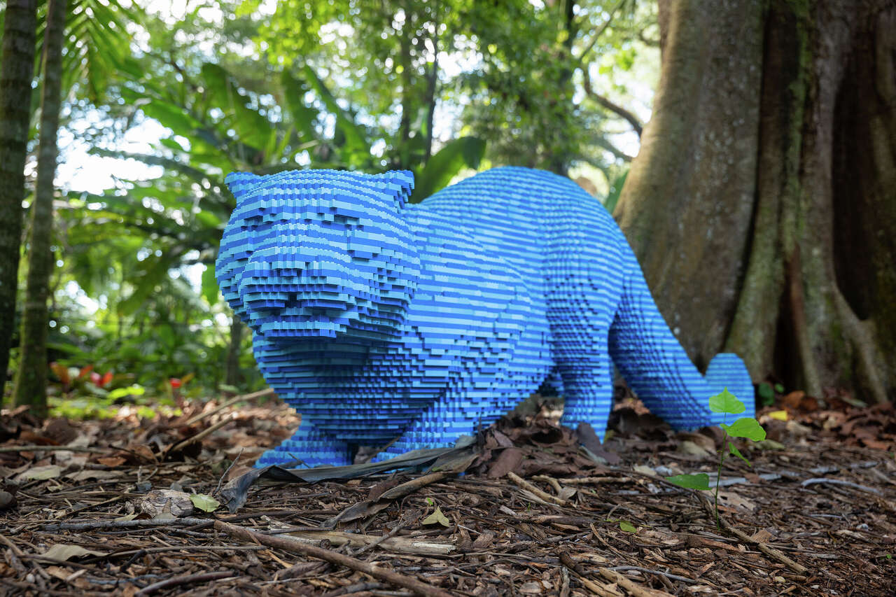 Legos meet nature at FW Botanic Garden this summer