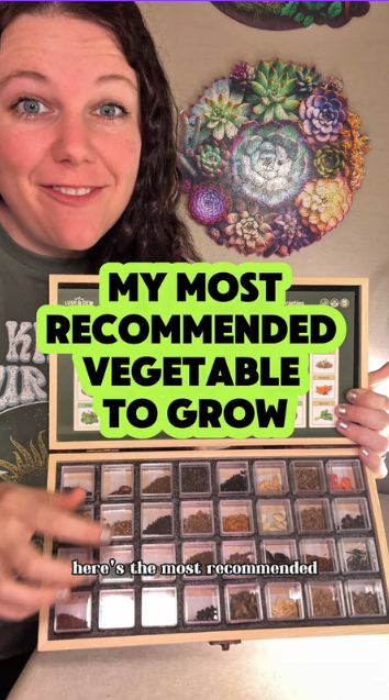 Essential vegetable gardening tips