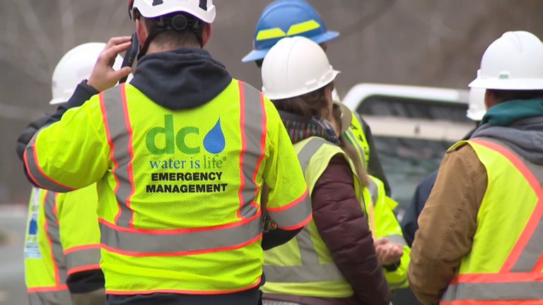 Months after massive Potomac sewage spill, lingering odor and shoreline ...