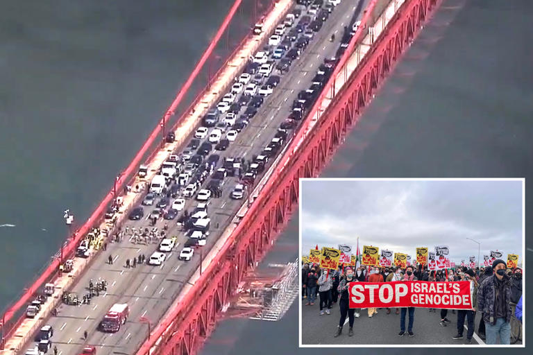 Protesters in Golden Gate Bridge shutdown face brutal punishment as ...