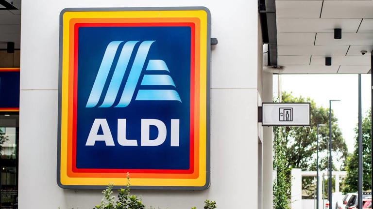 Aldi's $25 sun shade is a lifesaver for pets on hot summer days