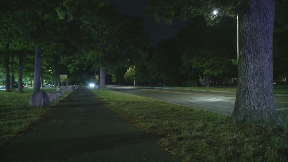 Armed man taken into custody at Roger Williams Park in Providence