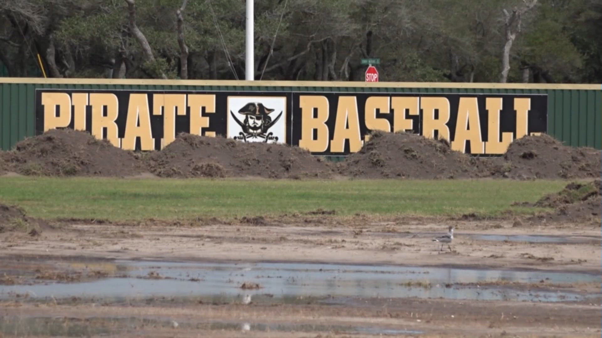 Rockport turf field donation