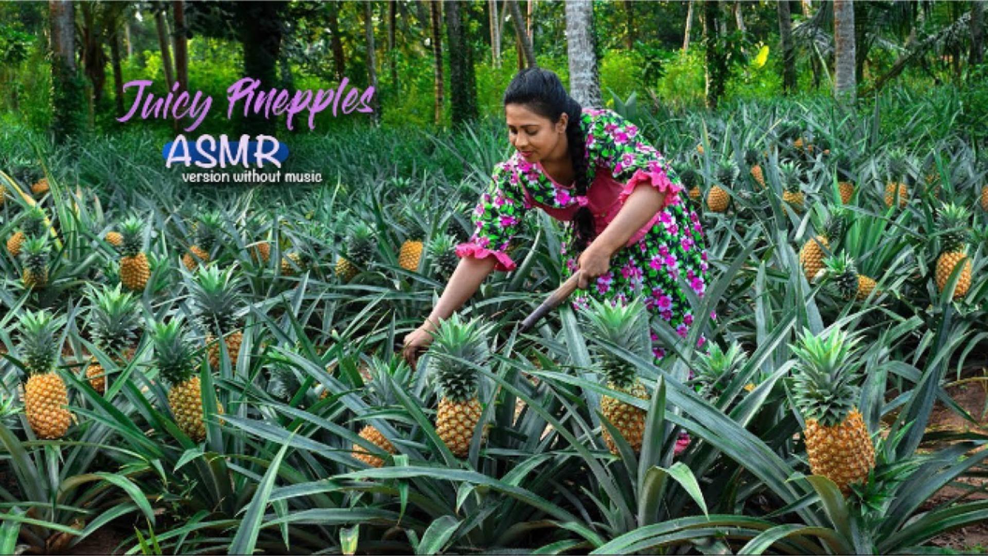 From pineapple harvest to homemade jam and halwa