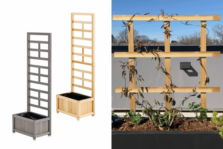 Prevents nosy neighbours from peeking in: Aldi's £22.99 planter with ...
