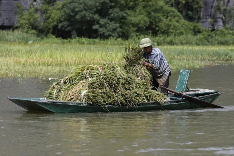 Vietnam’s net-zero push tests limits of state-led climate governance